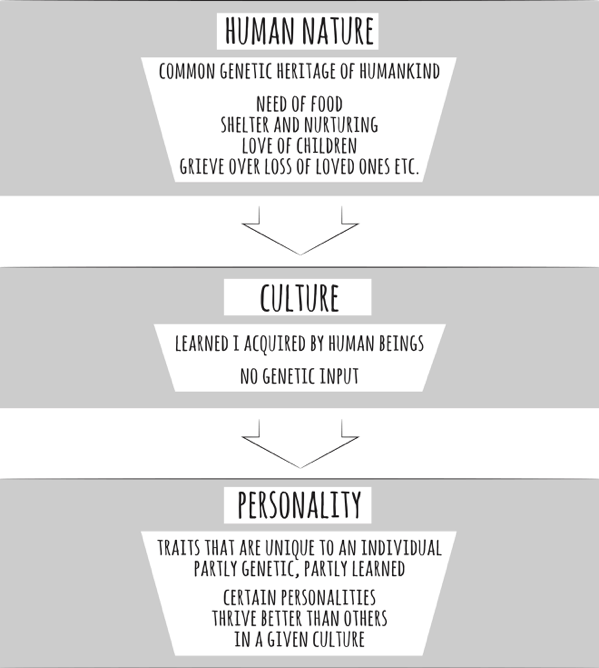 Human Nature -> Culture -> Personality: Connecting the Dots – Success ...