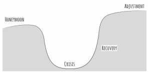 Adapting to a Culture: The U-Curve Adjustment Theory – Success Across ...