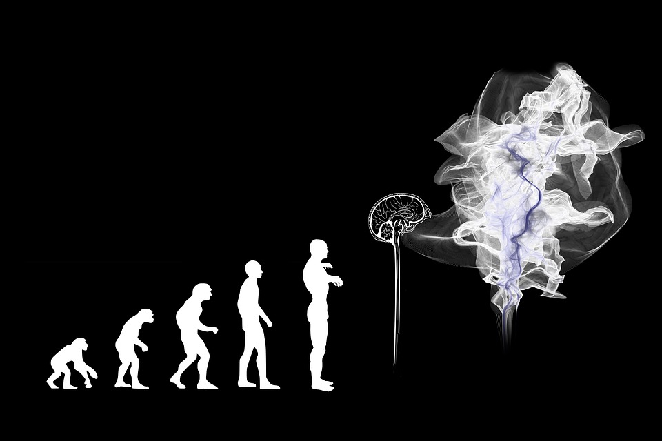 Population Thinking: How Darwin’s Theory of Evolution Contributes to ...